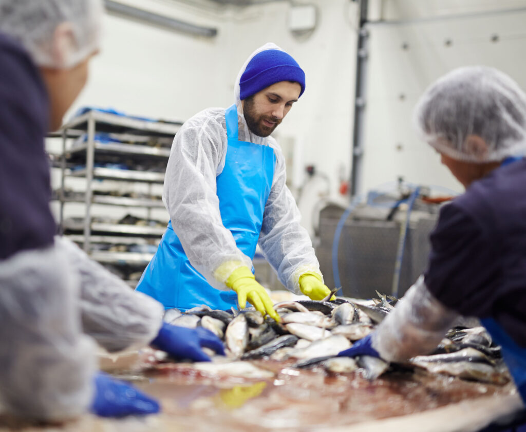 Food Processing Gloves Mastery: 6 Essential Hacks for Your Business
